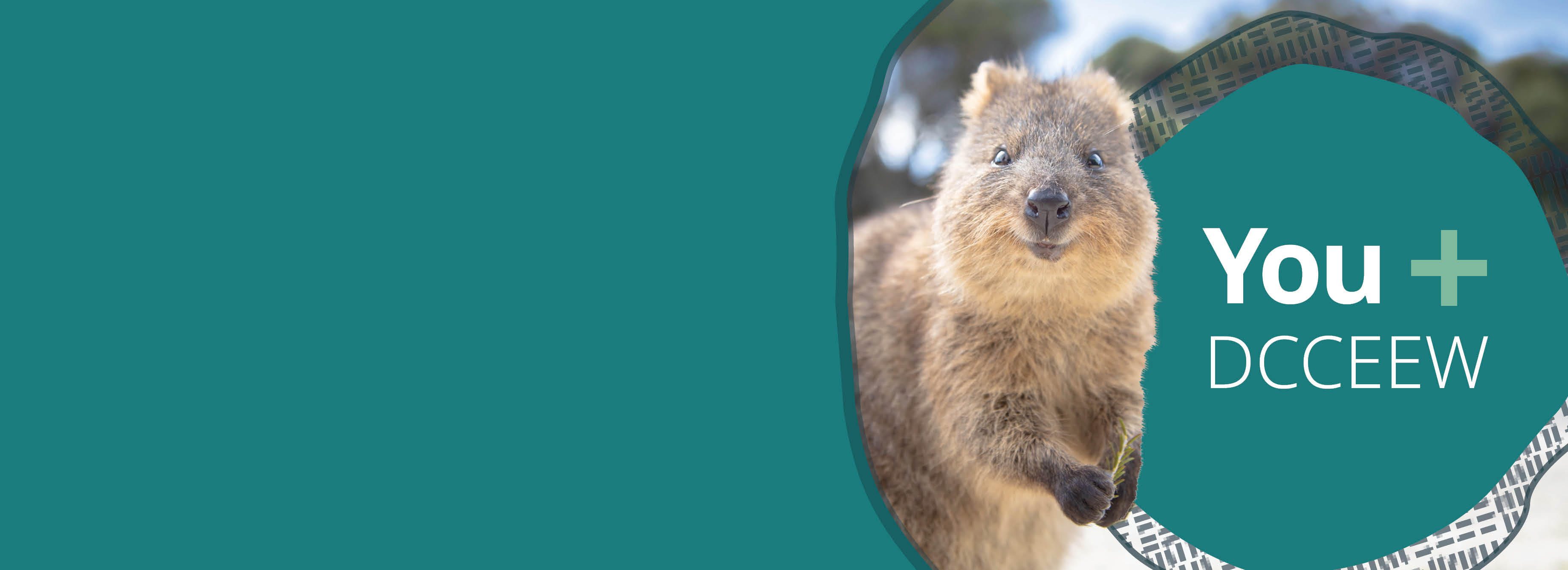 Science Graduate Development Program null